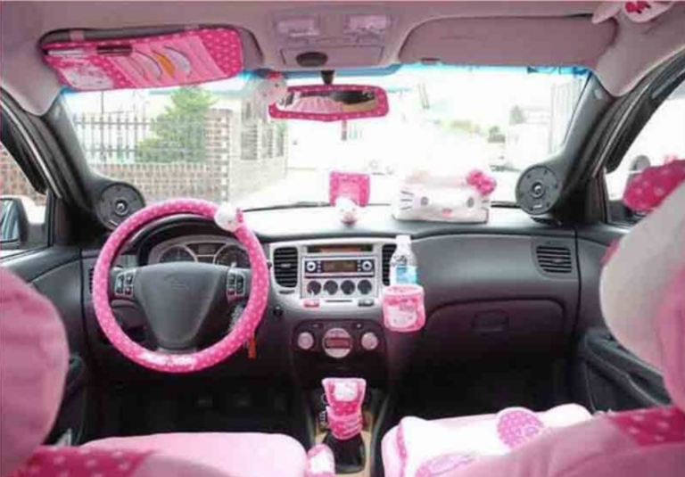 Top 2 reasons why pink car accessories are so popular and where to get ...